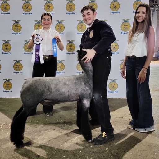 Black Label | Reproduction Specialty Group