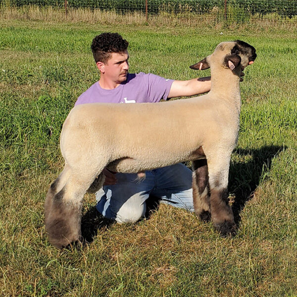 Break The Internet | Reproduction Specialty Group