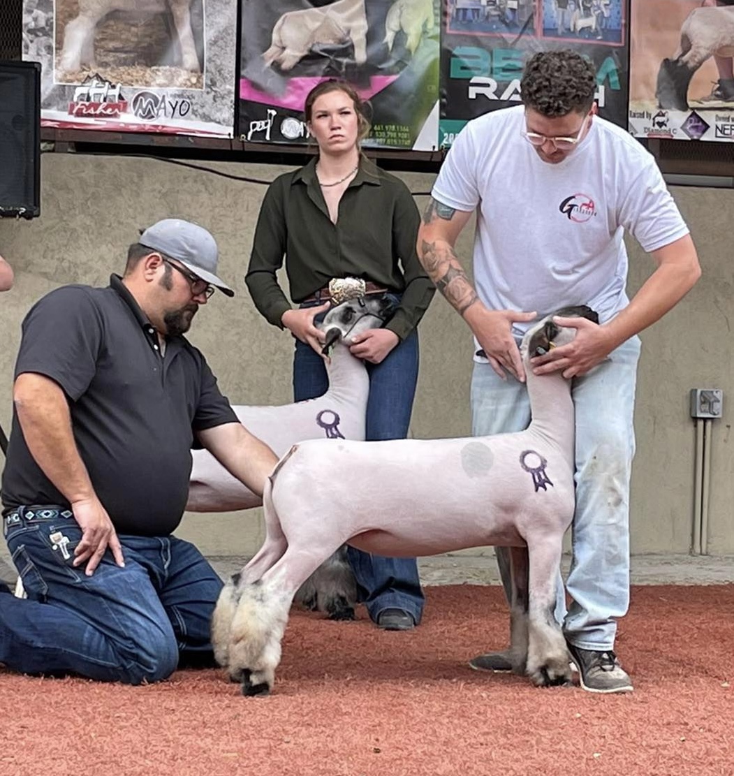 How High | Reproduction Specialty Group