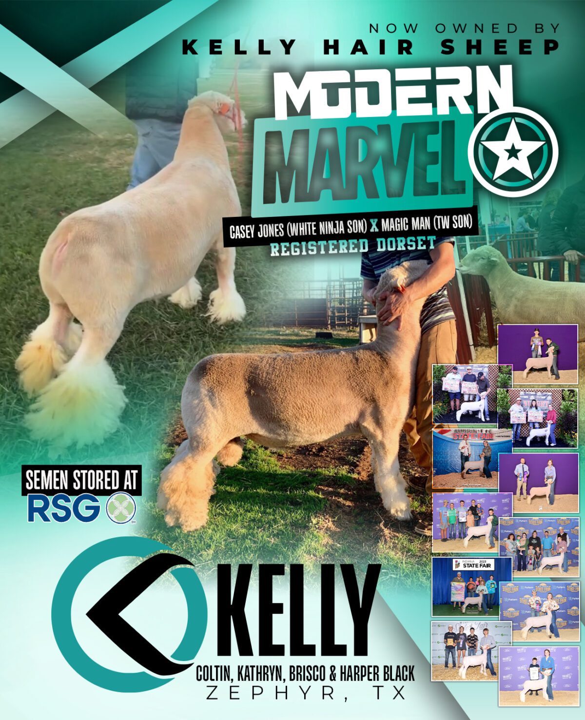 Modern Marvel - Reproduction Specialty Group