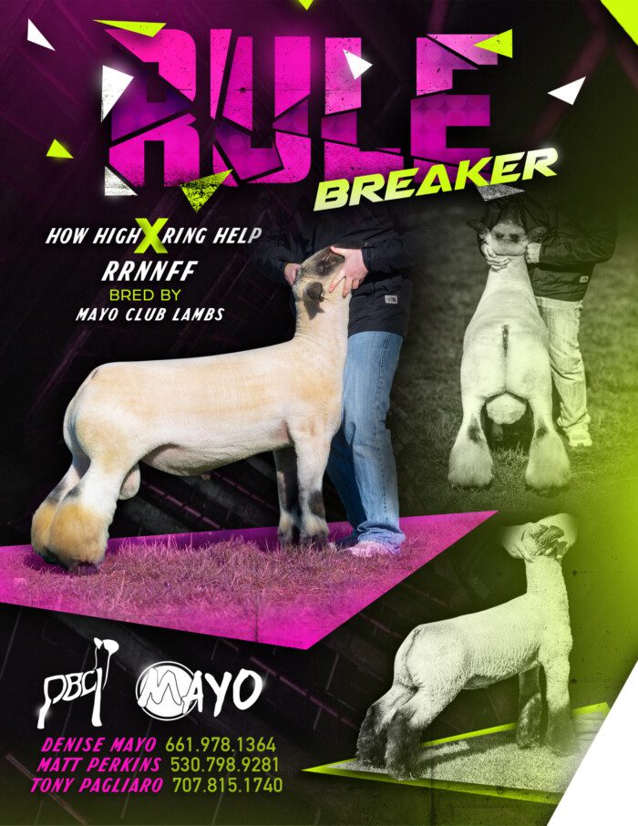 Rule Breaker - Reproduction Specialty Group