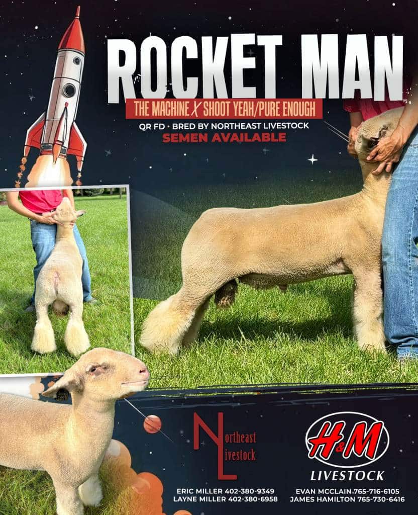 Rocket Man - Reproduction Specialty Group