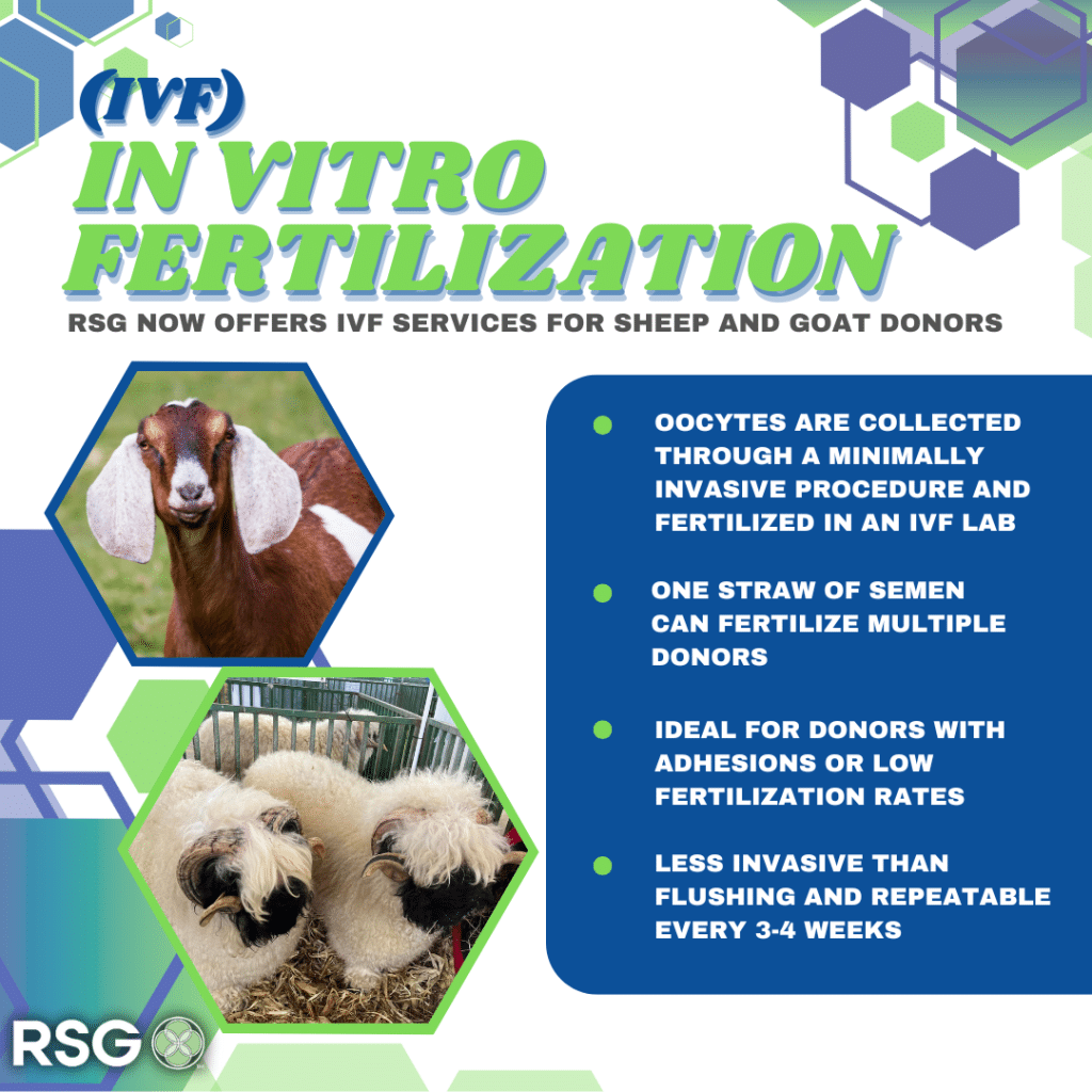 In Vitro Fertilization (IVF) - Reproduction Specialty Group