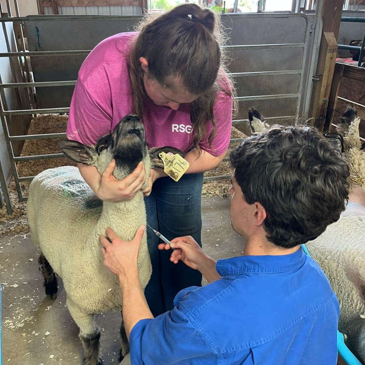Career Opportunities - Reproduction Specialty Group