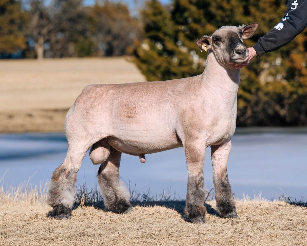 Blindside - Reproduction Specialty Group