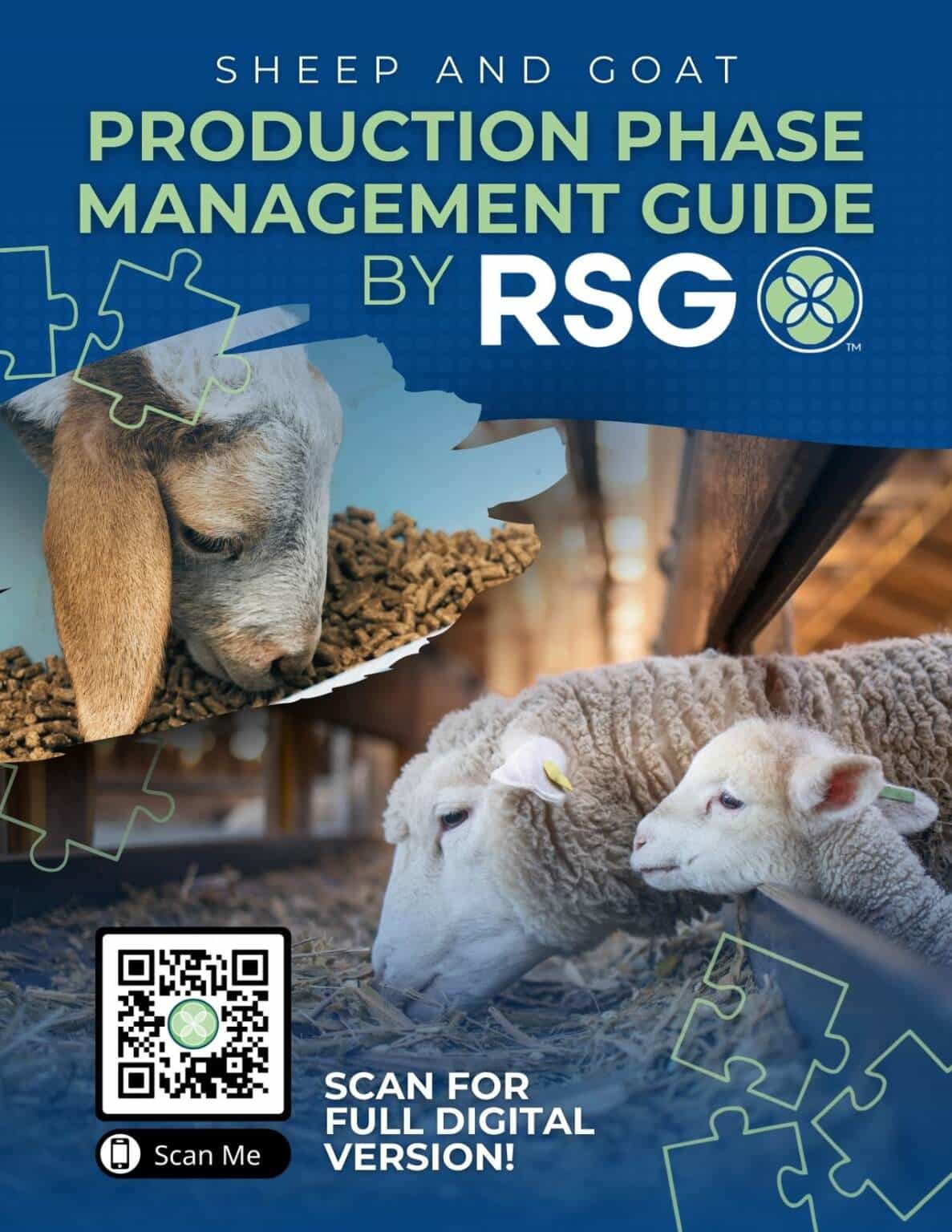 Phases of Production Guide - Reproduction Specialty Group
