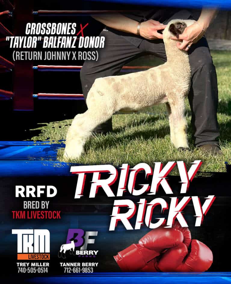 Tricky Ricky - Reproduction Specialty Group